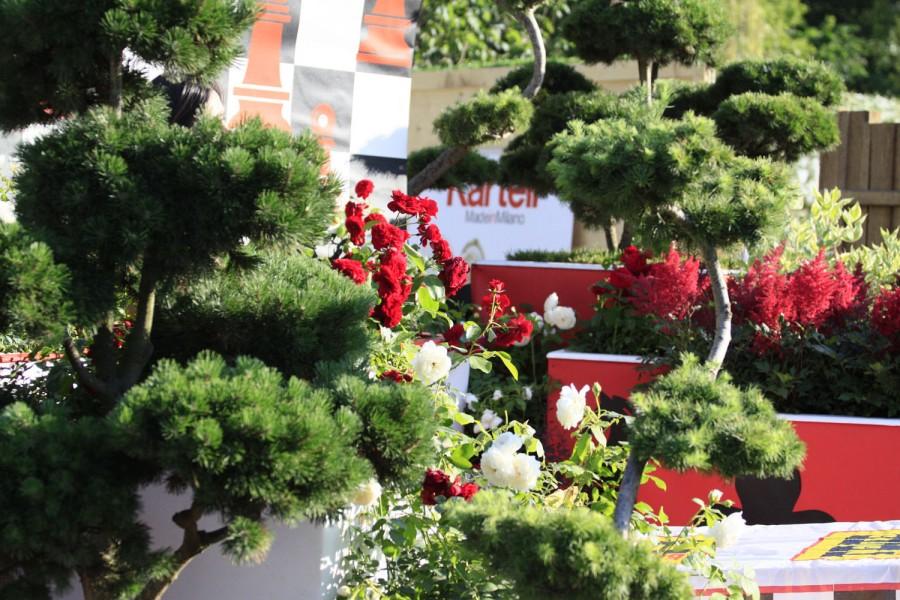 IV Moscow festival of gardens and flowers “Moscow Flower Show” 25 June ...